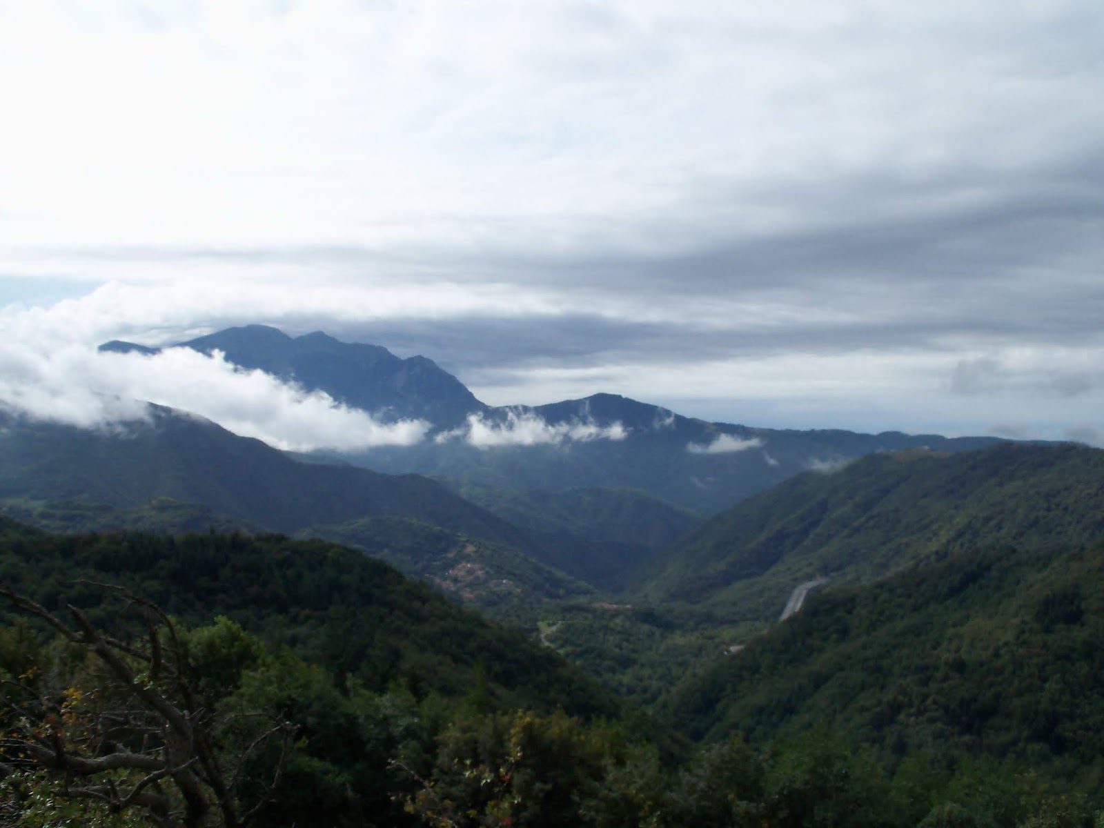 il pellerossa di zandobbio: LORIS. Via Francigena da Vercelli a Siena