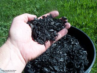 GardenerScott: What is Biochar?