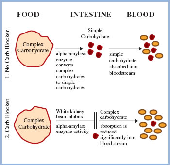 ♥The.Colour.Of.My.Beautiful .Life♥: Nutrilite CB Plus