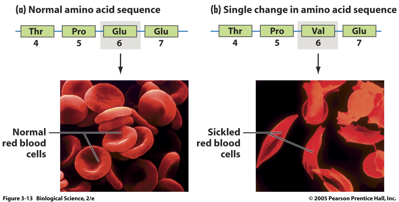 Belajar Matematika Simpel: Pintar Pelajaran Pengertian Dan Rujukan ...