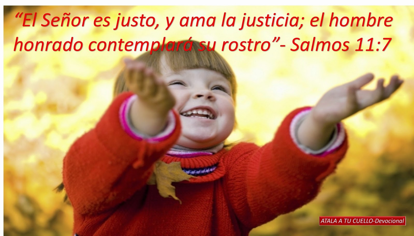 ATALA A TU CUELLO Devocional: Salmos 11