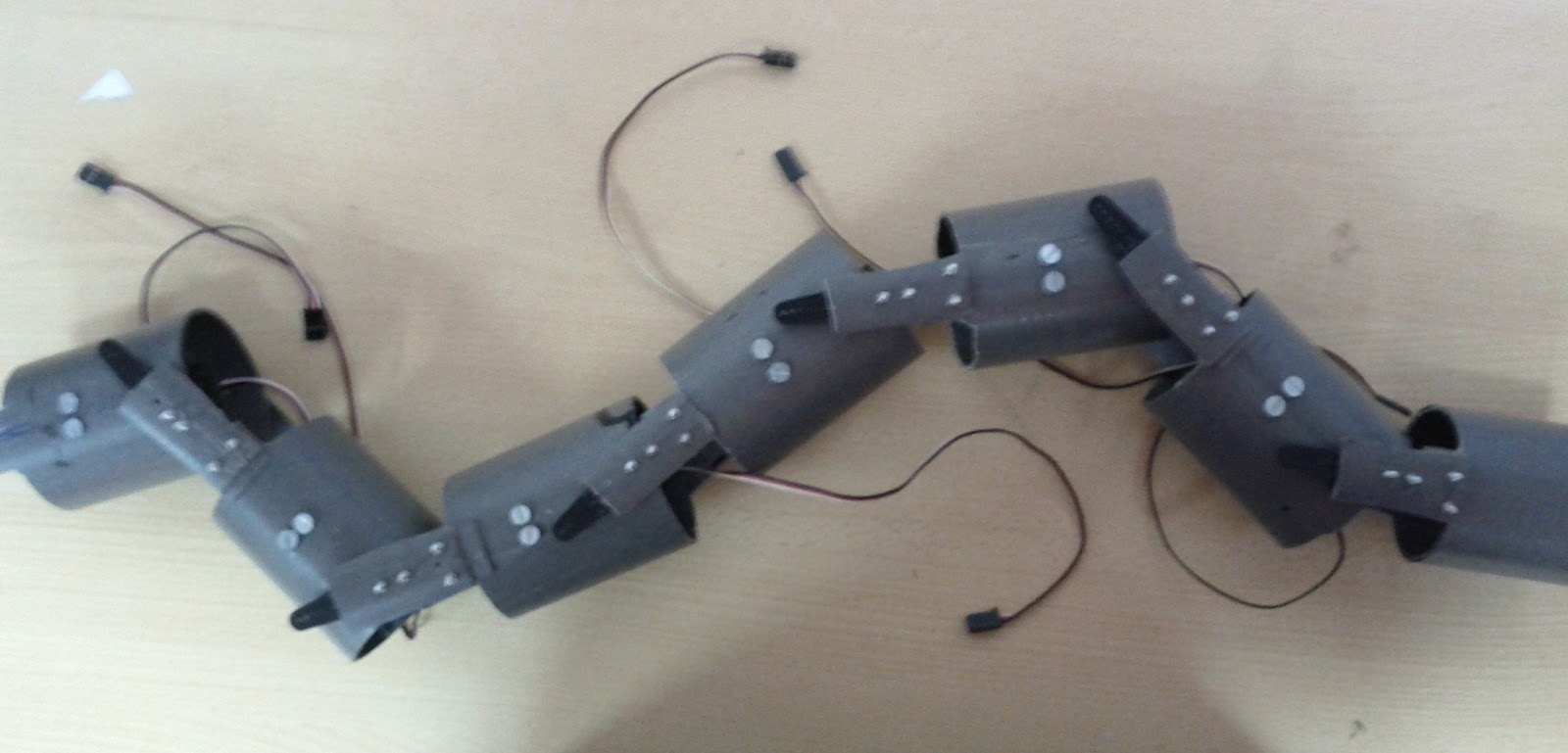 Innovation Robotics: Prototypes for the Snake Robot