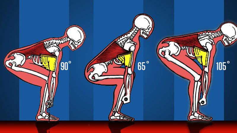 Dumbbell Deadlift vs Barbell Deadlift – Which and Why? - SHREDDEDFIT