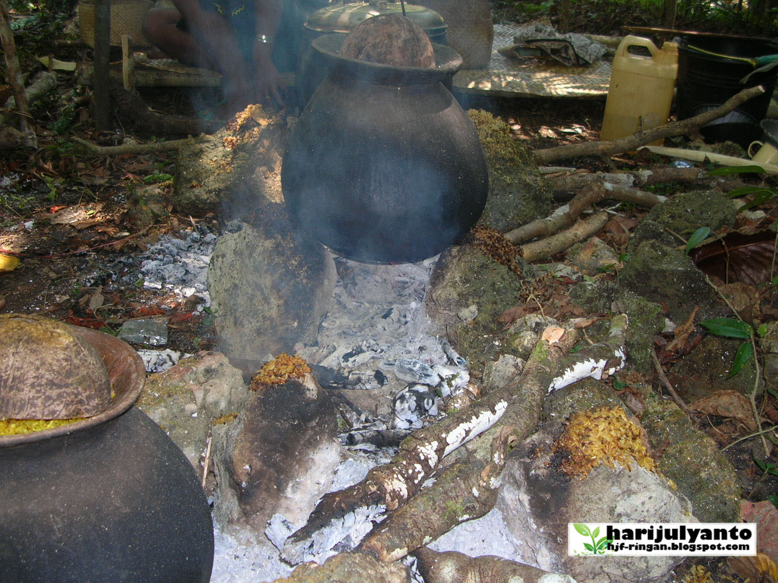 Ringan: Persembahan di Hutan Ritus ( Ritual Purung Taliang Marapu )
