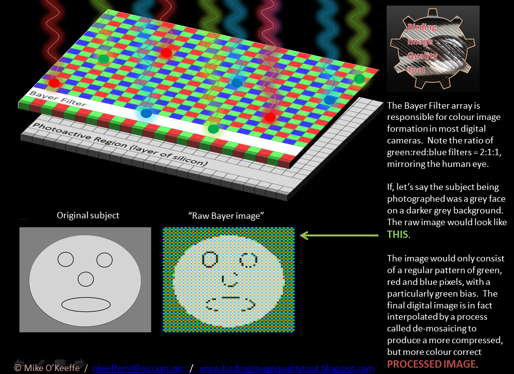 Birding Image Quality Tool: Identification : Resolution