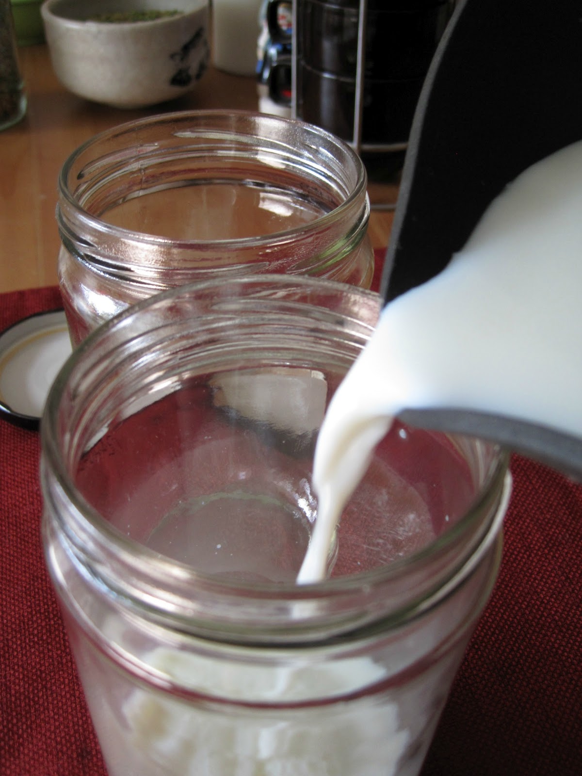 The Pickled Herring: DIY: Yogurt