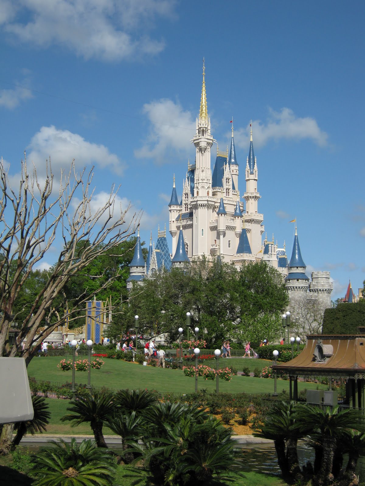 Your Mother Knows But Won't Tell You...: Step Back or I Swear The Mouse ...