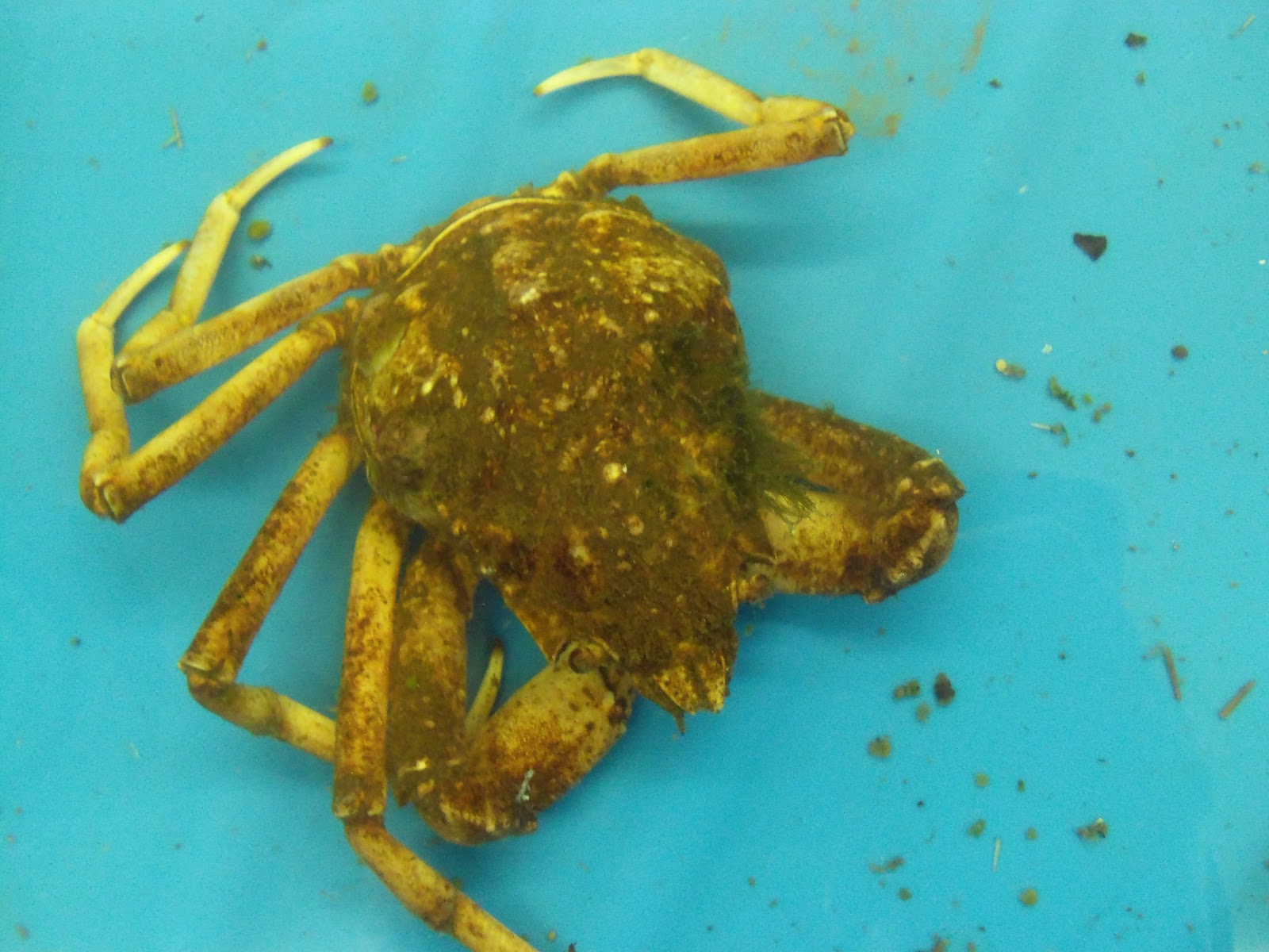 Huntsman Marine Science Centre: M. Gerald Teed Memorial School