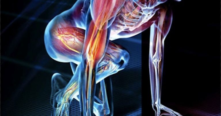 PHYSIOLOGY SLIDES - set 1