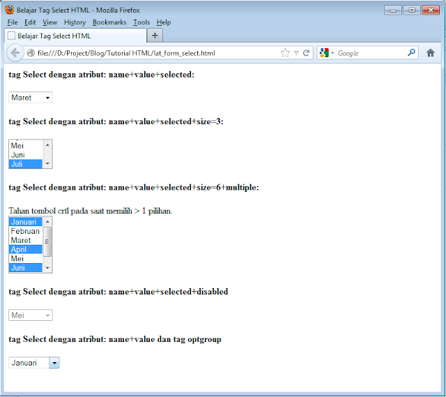 Fungsi Combo box (Tag Select) Beserta Cara Penggunaannya