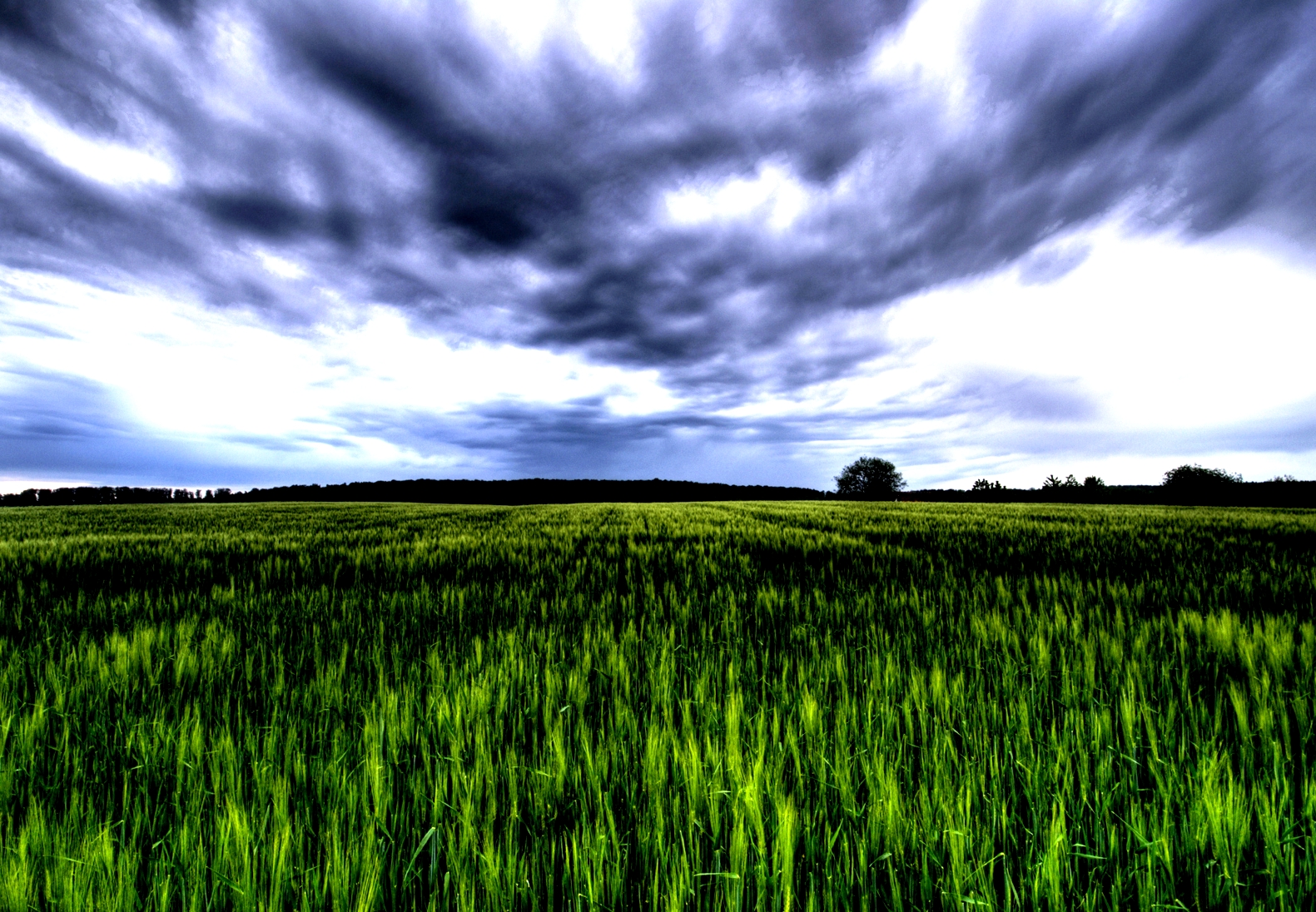 Info.Carlibaba.Bucovina.Online: Selectie cu imagini de primavara pe ...