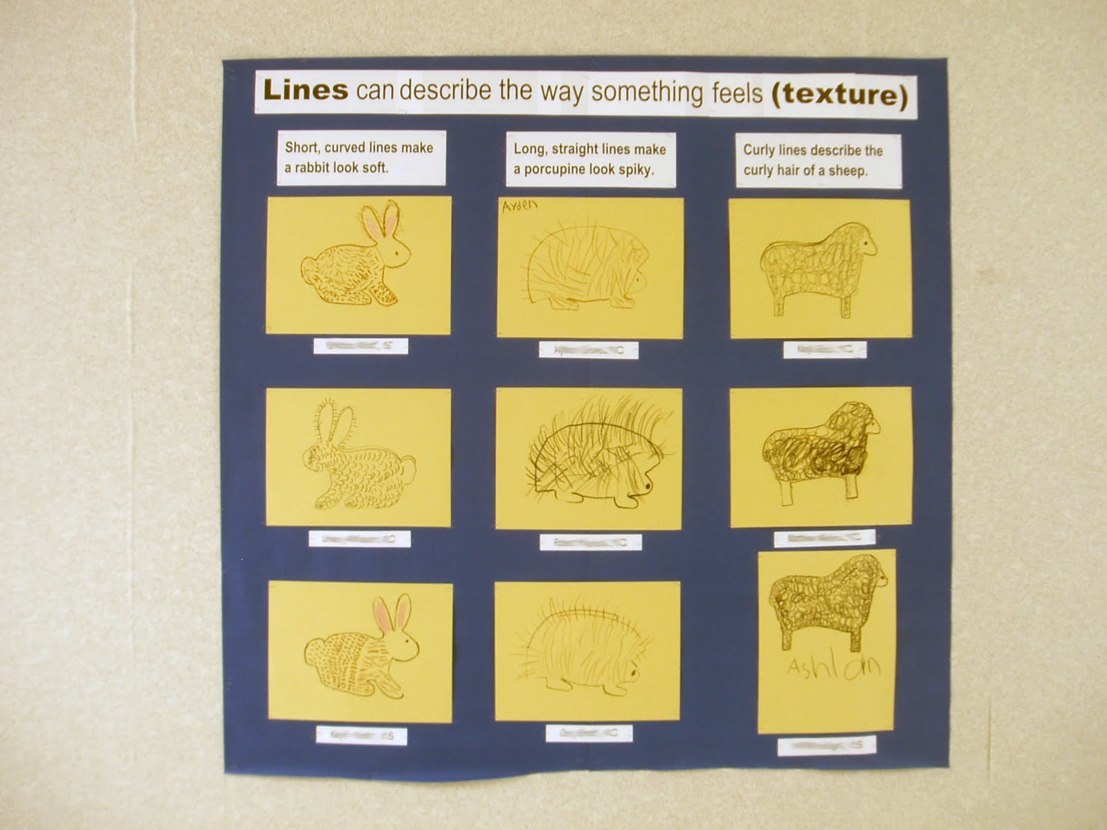 Miss Young's Art Room: 1st Grade Animal Texture Pictures