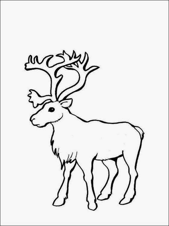 Desenhos de Alce para Colorir - Desenhos para Colorir e Imprimir