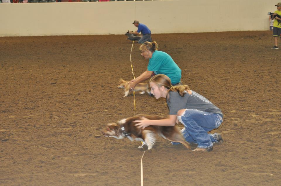 Simple, But Fabulous: Lucky Dog Barrel Race - Texarkana