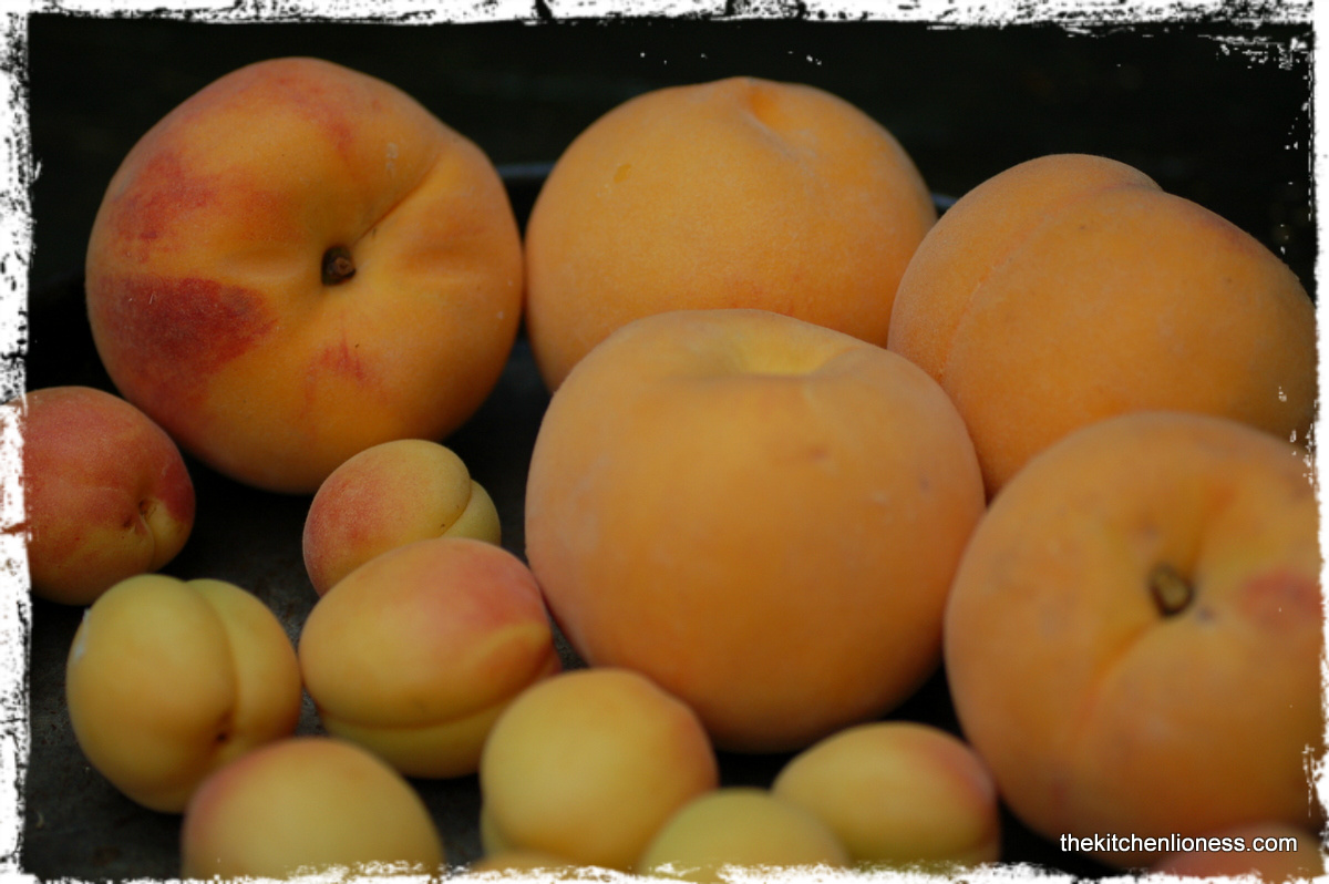 The Kitchen Lioness: Percoche Clafoutis