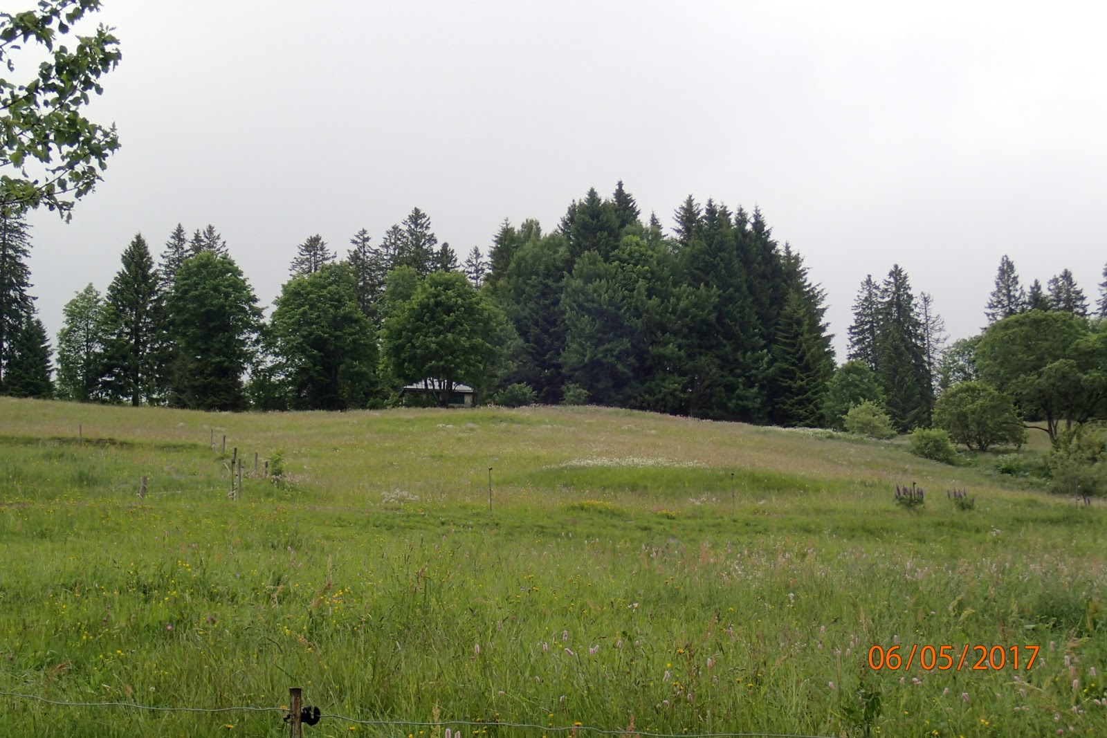 After Nature: Our visit to the Heidegger cabin (Heidegger's hut)