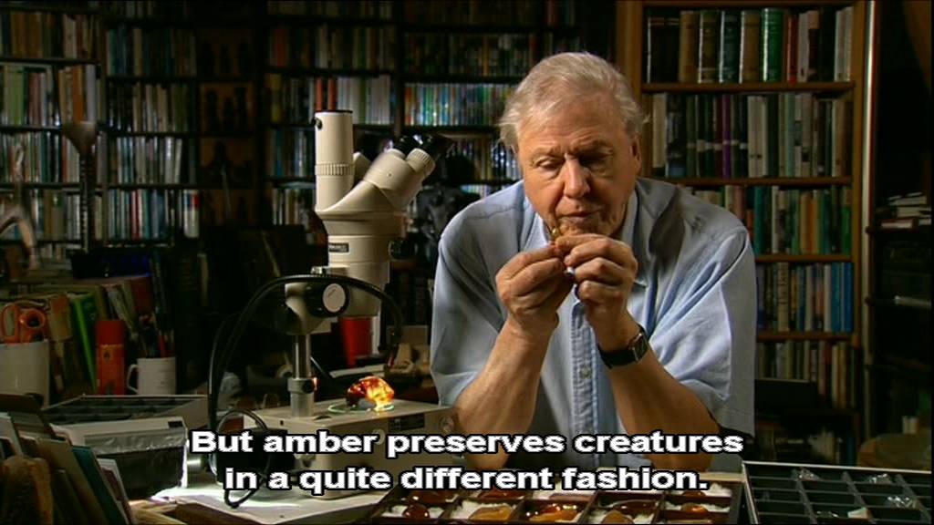 Elokuvahömppää: The Amber Time Machine