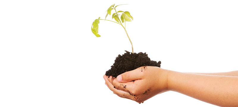 35 Easy Ways to Be an Eco-Friendly Family | Free Printable Pledge ...