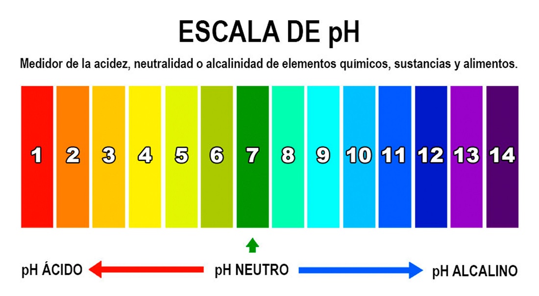 Enroque de ciencia: “Después de la leche, todo eches”. Ciencia ...