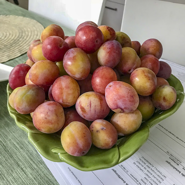 ninisworld: Plommon, plommon, plommon