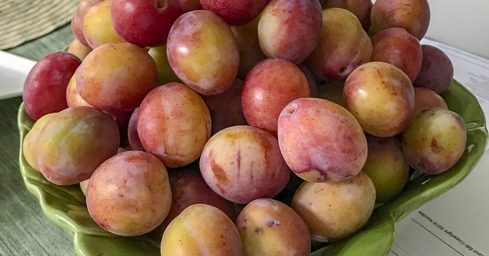 ninisworld: Plommon, plommon, plommon