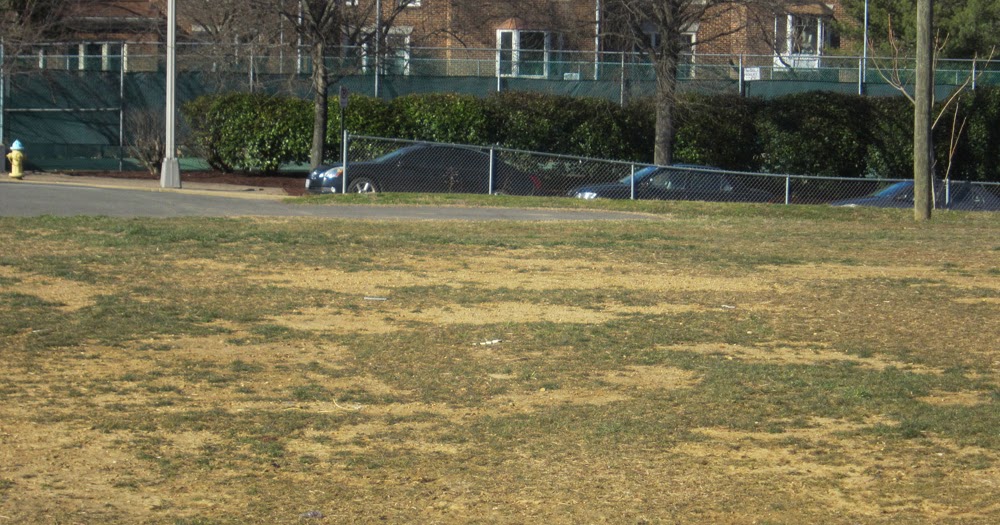 Ode Street Tribune: Rosslyn Highlands Park field needs re-turfing