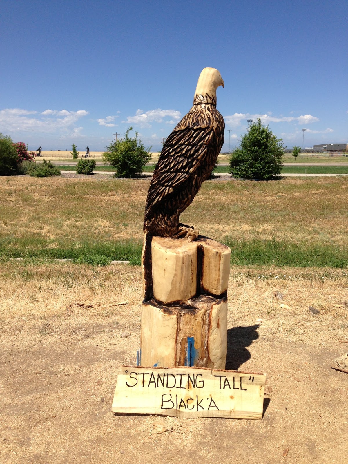 RCWaitsArt: Frederick, Colorado Chainsaw Carving Competition June 19-22 ...