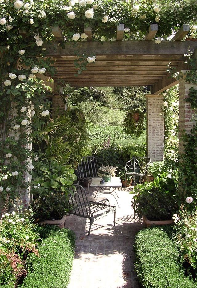 Lovely arbor with white climbing roses | Backyards Click