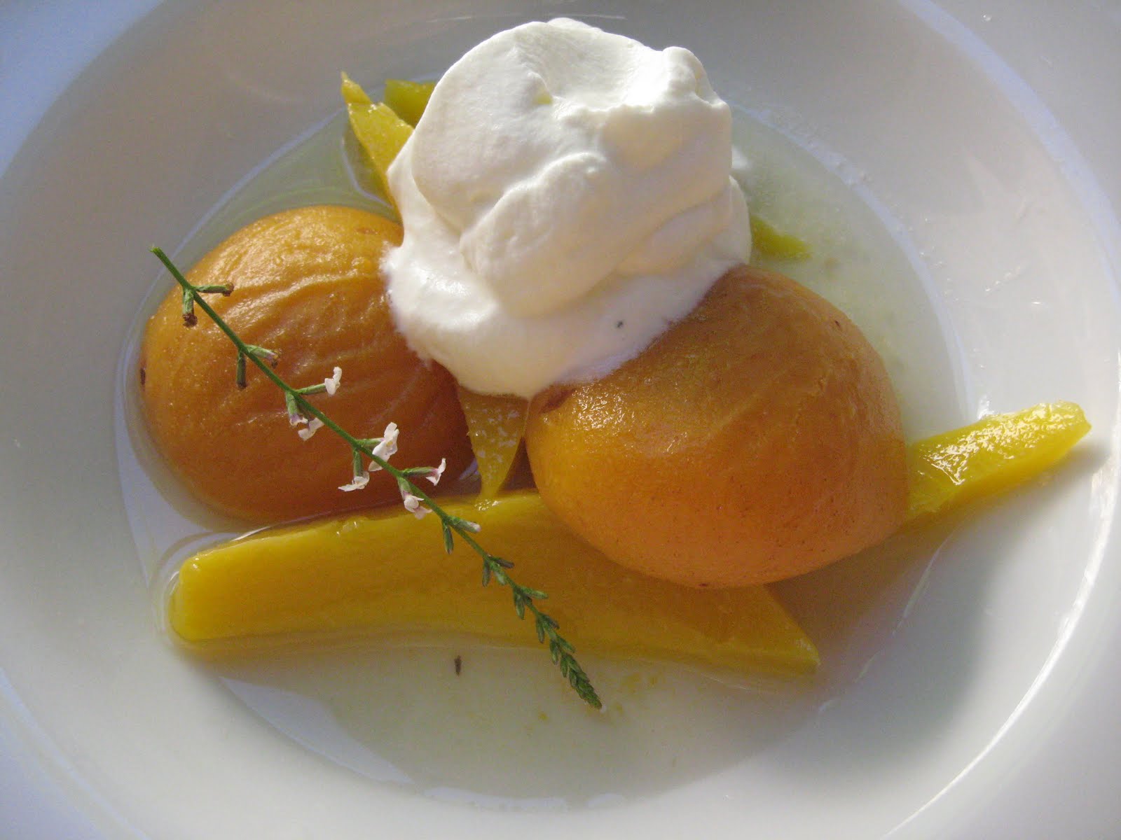 she's in the kitchen: poached fresh apricots and mango with lemon verbena