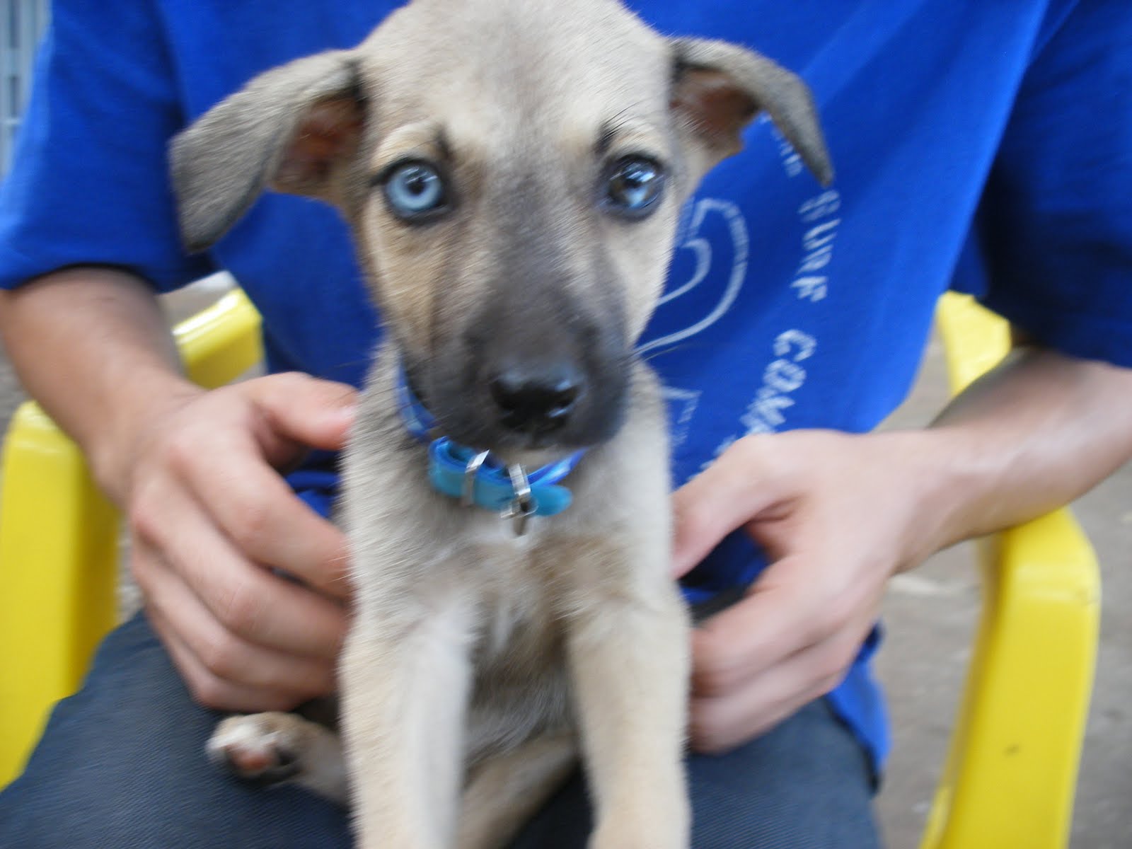 Wherever I´m coming!