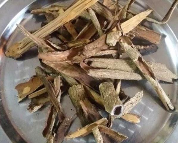 Jemari Tari KIS: KAYU SERAPAT