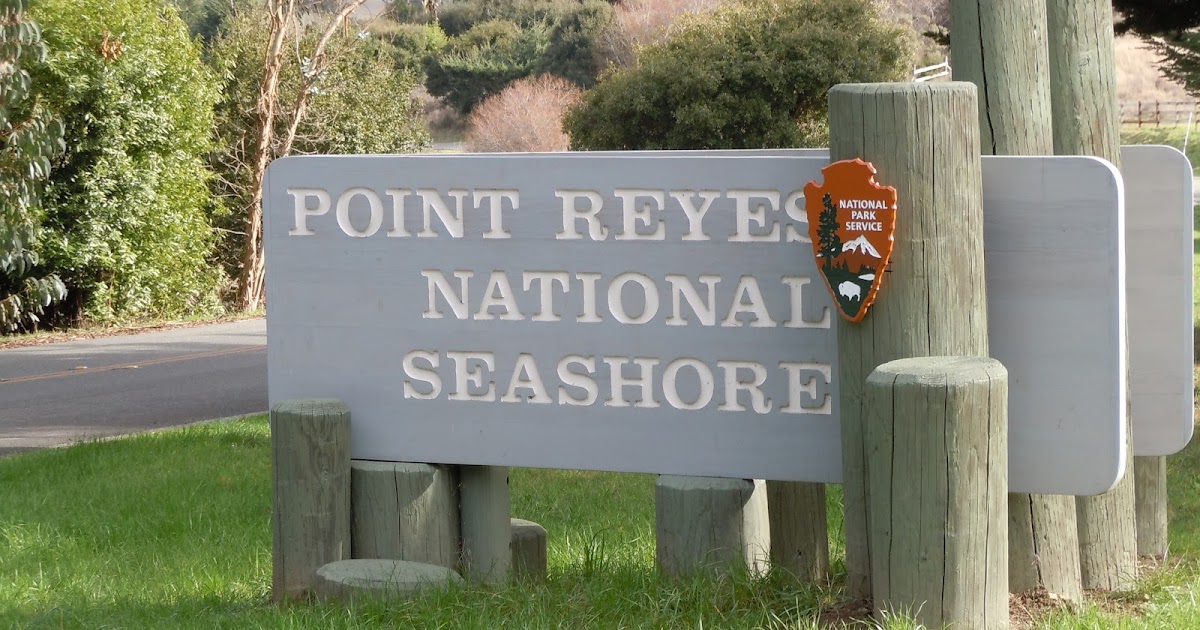 Point Reyes National Seashore / Northern California | Western Trips