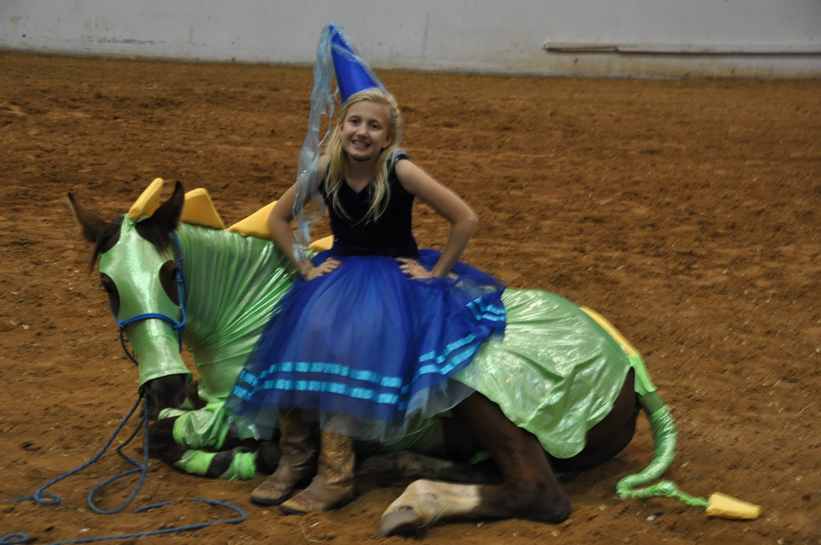Michelle Deden Mustang Makeover: Wild Horse and Burro Expo 2012!