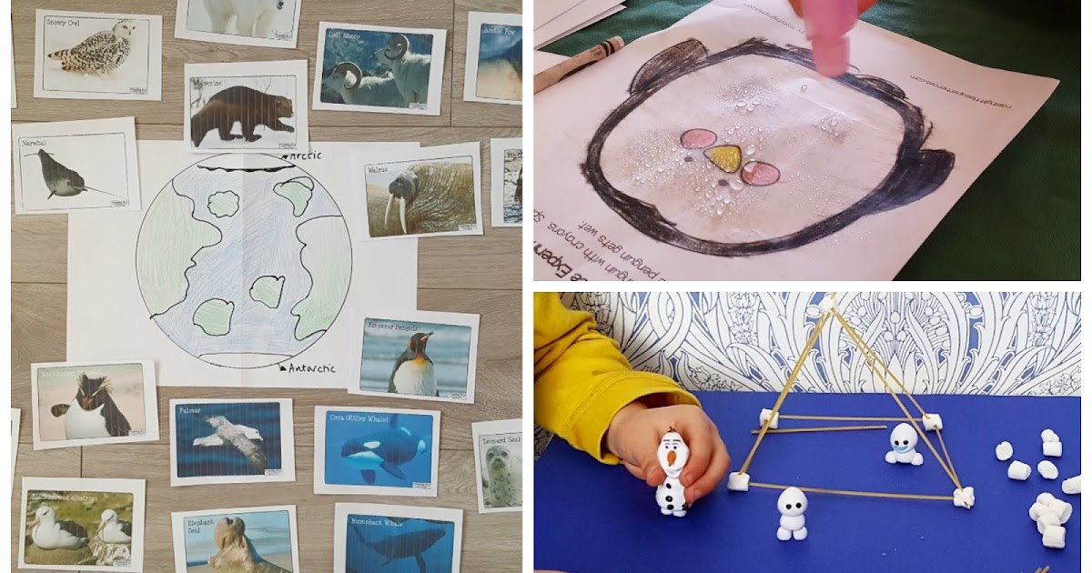 Polar Animals Activities | Multicultural Motherhood