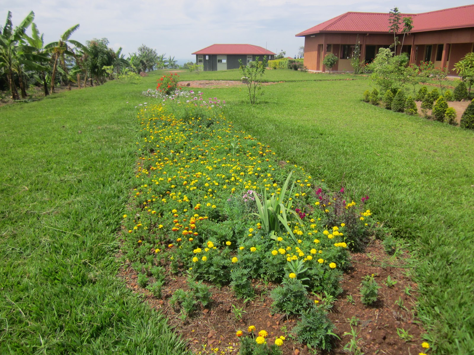 A Garden Love Affair in Rwanda: Gardens and what they say about you...
