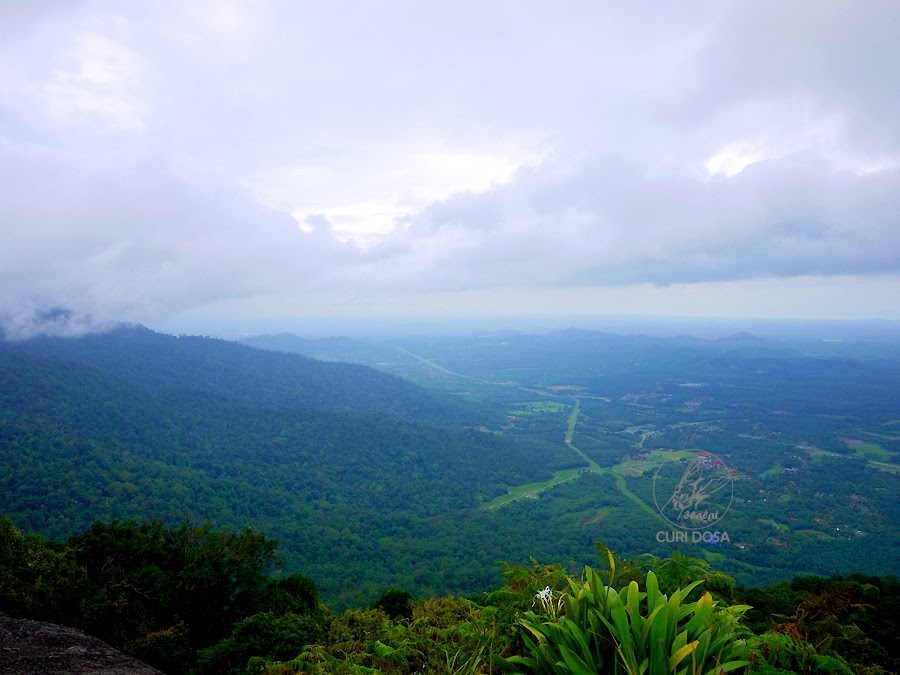 Wak Gelas™: BERTONGKAT DI GUNUNG DATUK