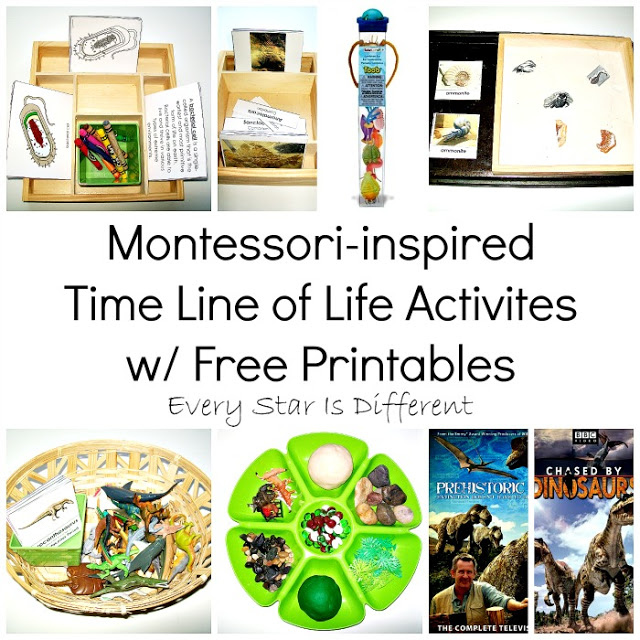 Montessori-inspired Dinosaur Gifts & Resources for Children - Every ...