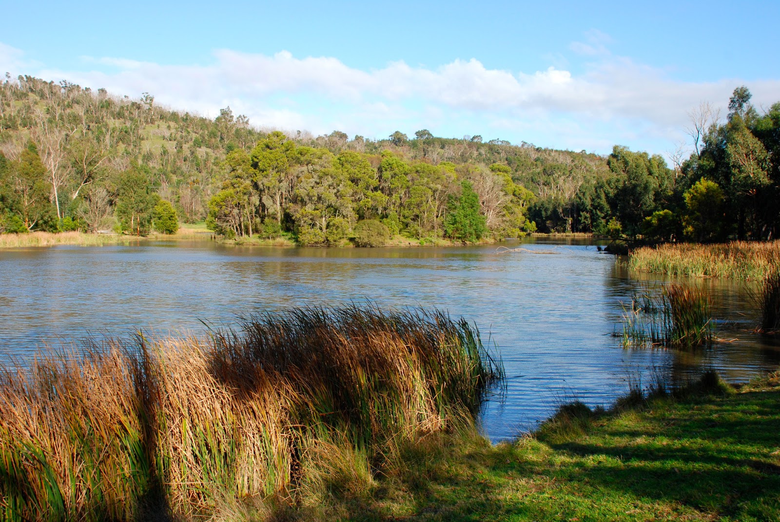 walkabouters club of victoria inc: Birdsland Reserve to Lysterfield ...