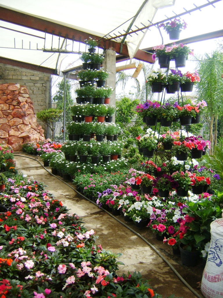 VIVERO EL ENCANTO: BIENVENIDOS!!!