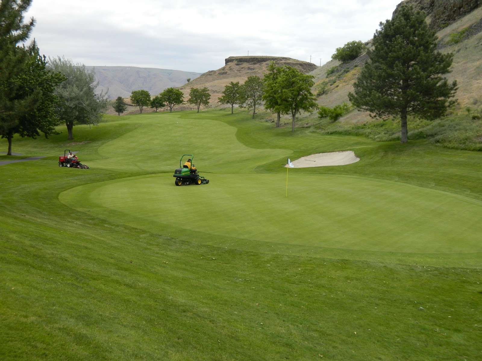 LGCC Golf Maintenance: Walk mowing greens