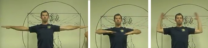 Cuerpo Calisténico: Salud articular y movilidad