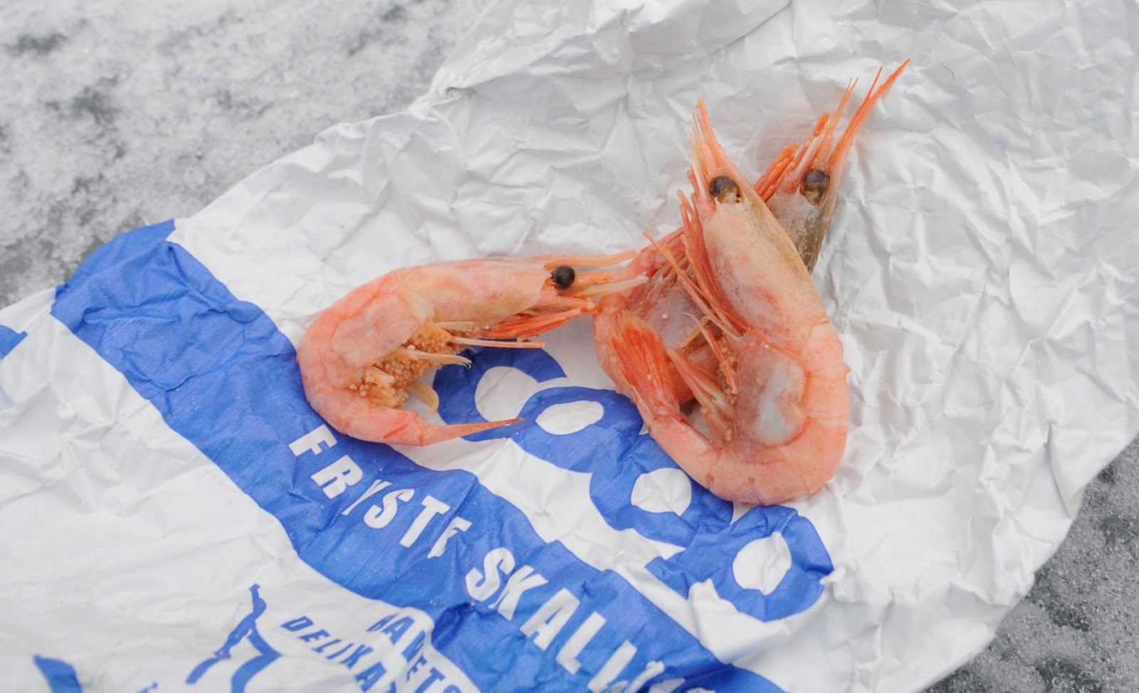 Ørreten er glad i reker