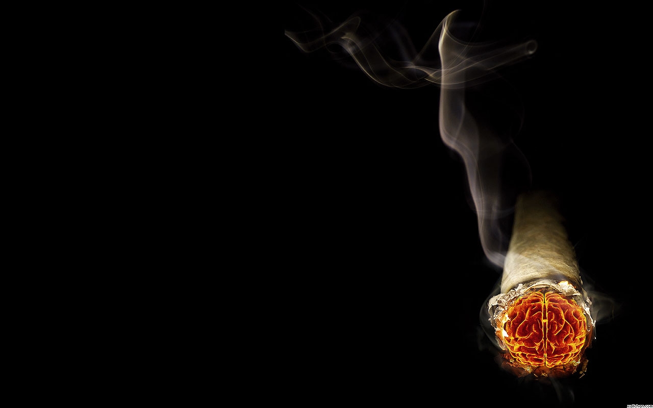 Diario de un viaje imposible...: January 2012