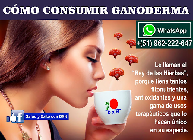 GANODERMA PERU DXN: Como consumir Ganoderma