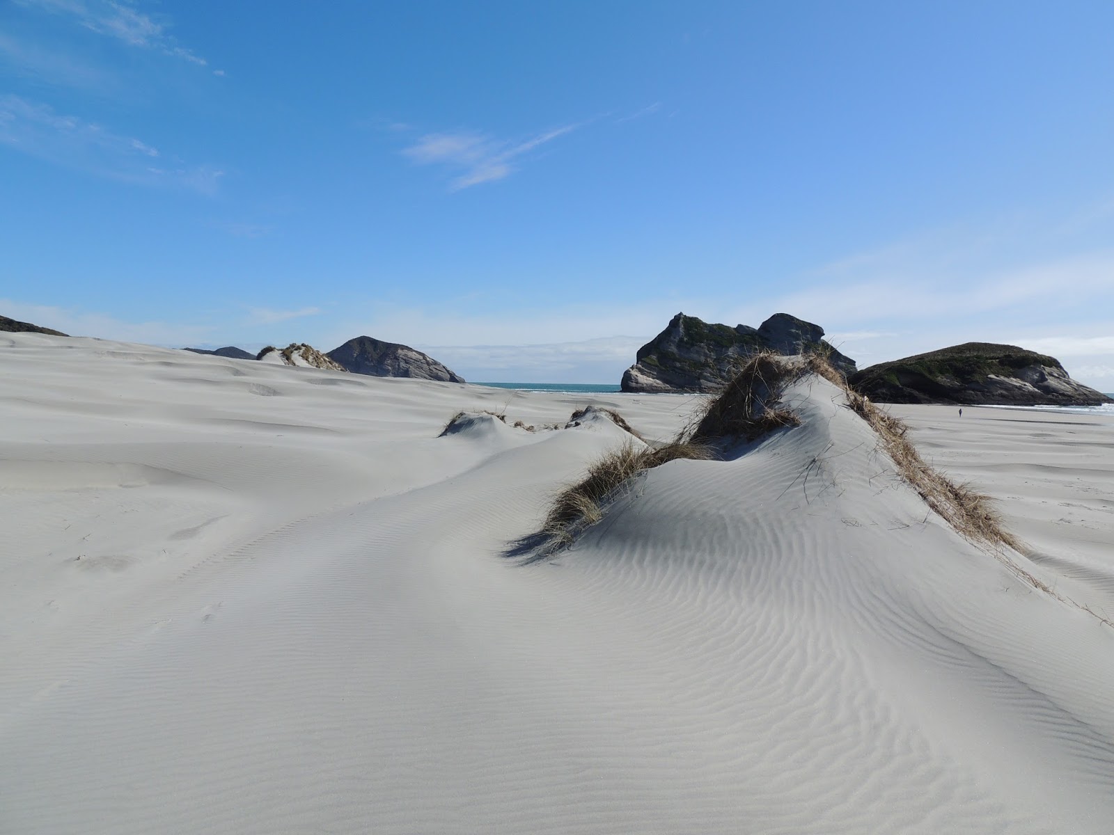 THE ROAD TAKEN : Wharariki Beach
