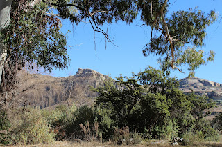 The Agri Handbook Blog: Rustler's Valley: view from a neighbour