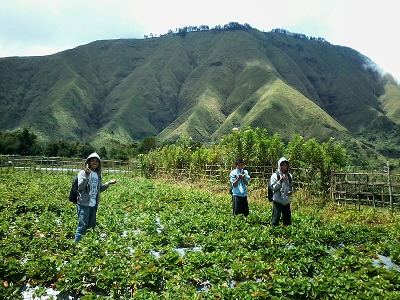 Tujuan Wisata di Sekitar Gunung Rinjani
