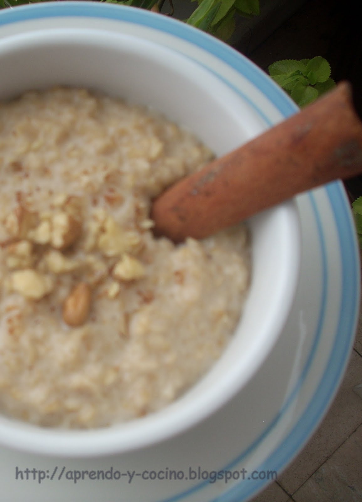 Aprendo y Cocino: Avena para el desayuno