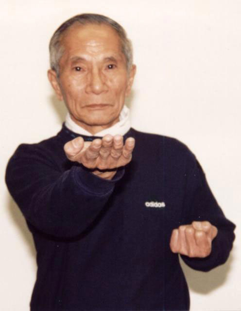 Wing Chun Technique - Tan Sau | Wing Chun Spirit - Learn Wingchun Online