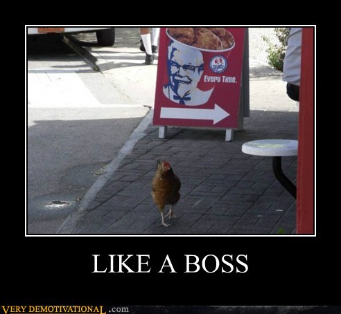 12 Funniest Pics of Like a BOSS Meme! | sussurroeterno